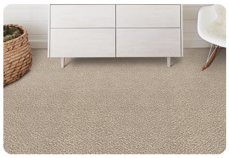 Wool & Nylon Carpet Store Madison Milwaukee WI | FLOOR360